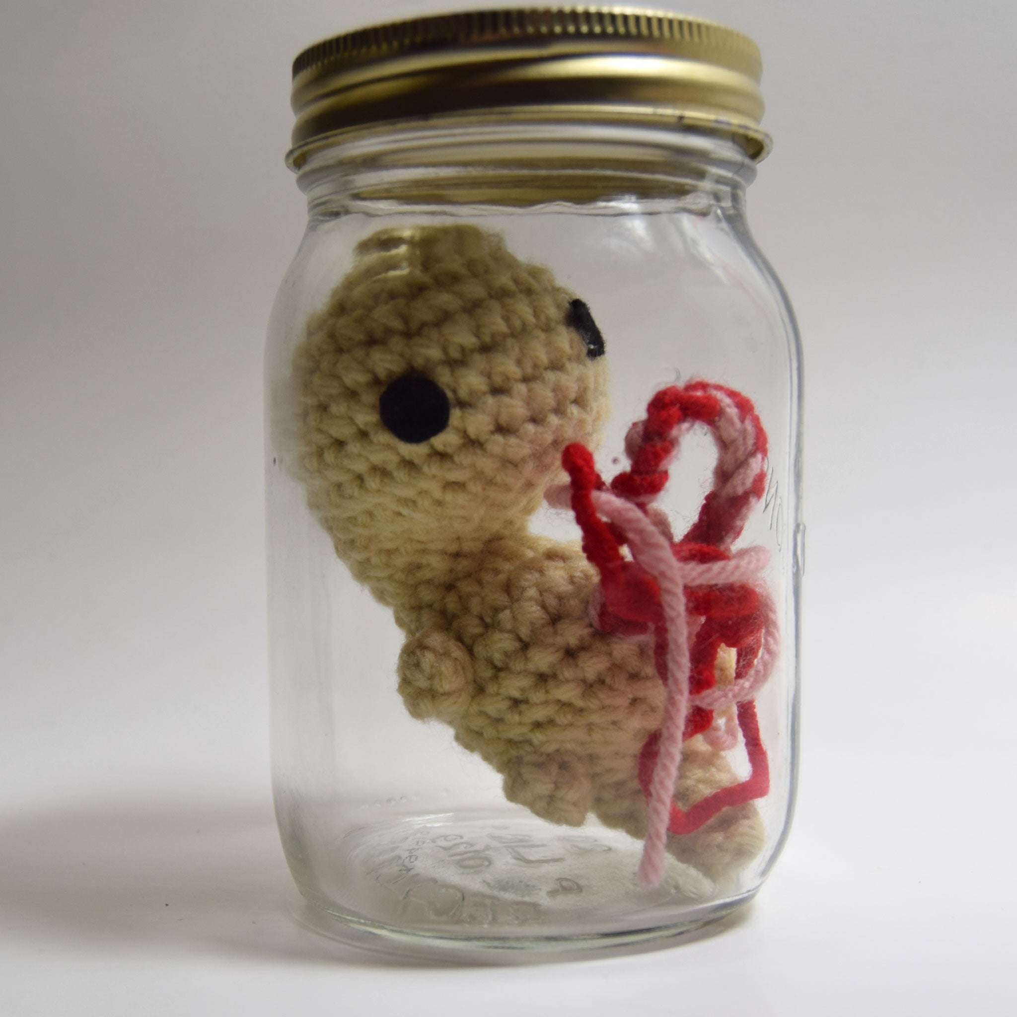 Fetuses Crochet Pattern – MadebyJody666