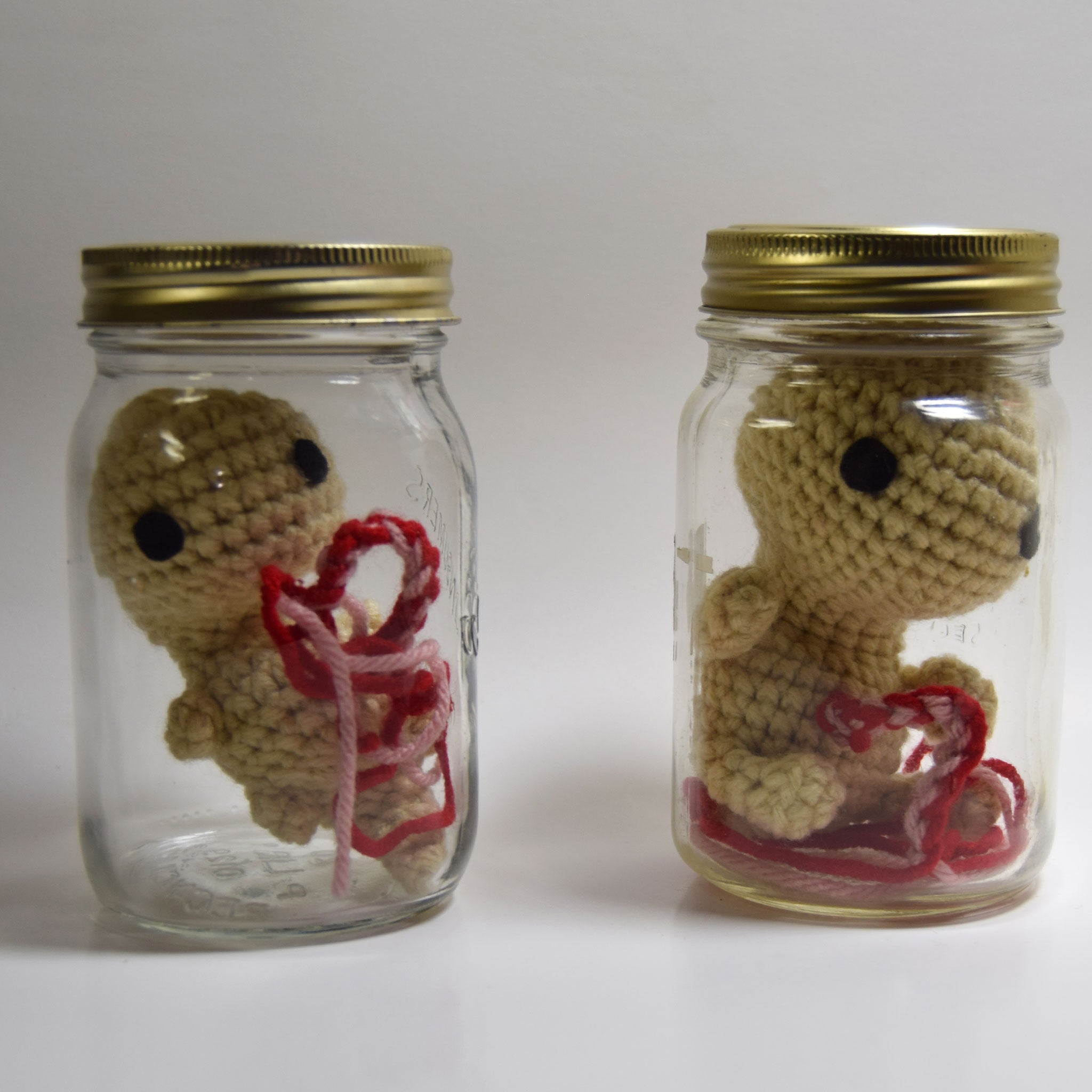 Fetuses Crochet Pattern – MadebyJody666